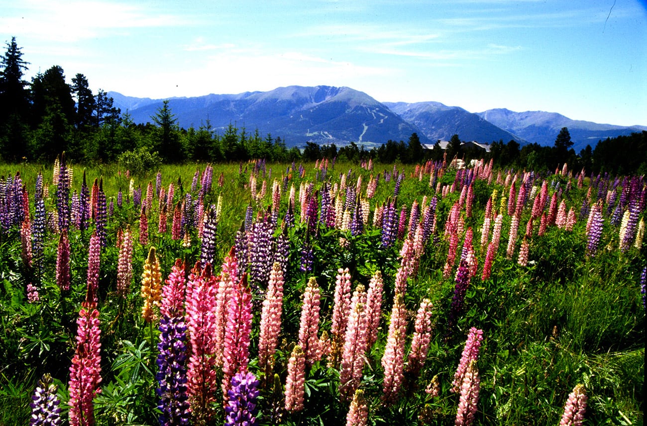 Hôtel à Font-Romeu pour vos vacances à la montagne - Hôtel Carlit